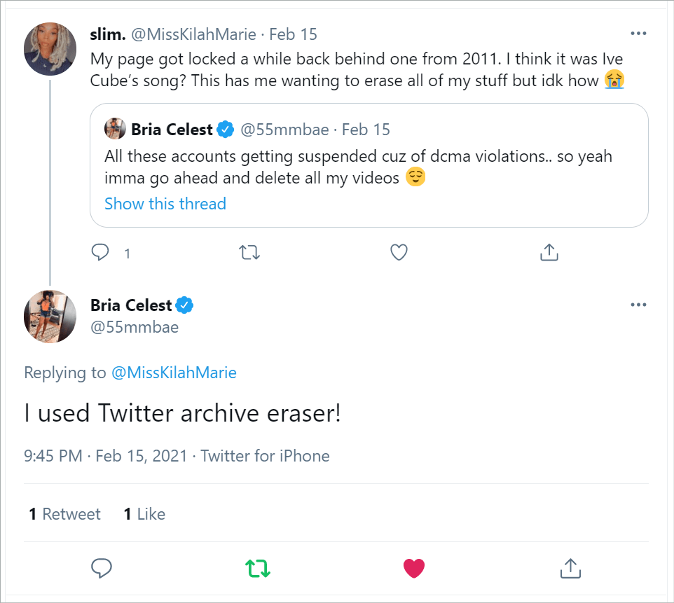 Delete Tweets in bulk with Twitter Archive Eraser